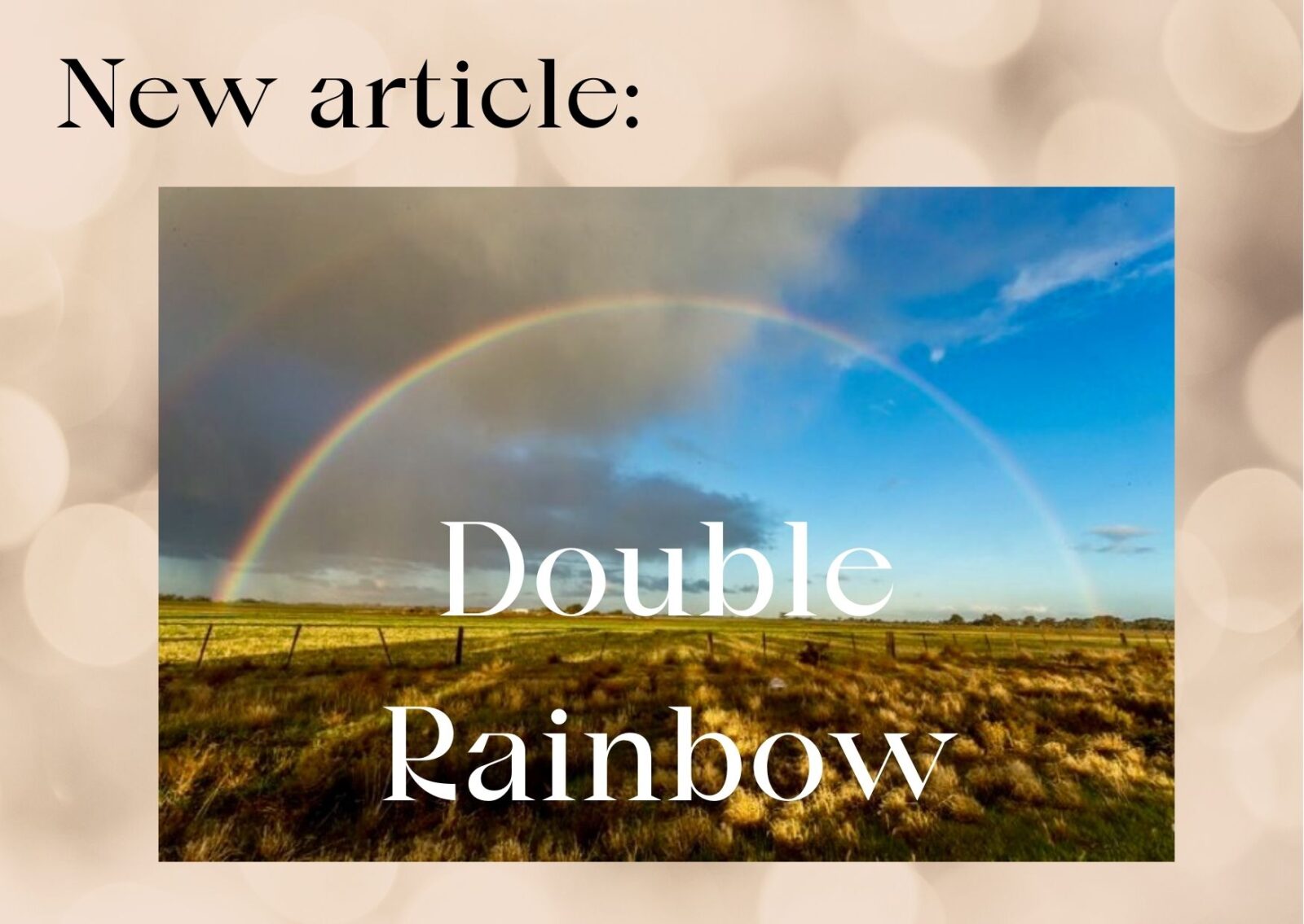 Jane Hutcheon Interviewer and Writer